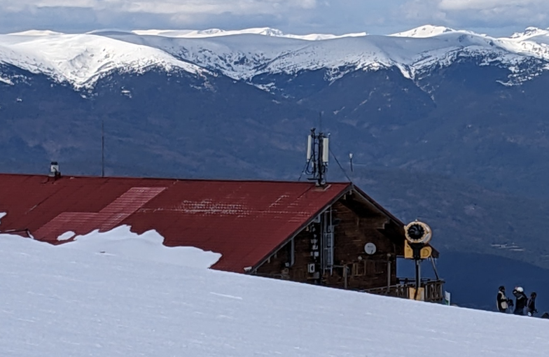 Cell Site Of The Week | The Cell Site Experts